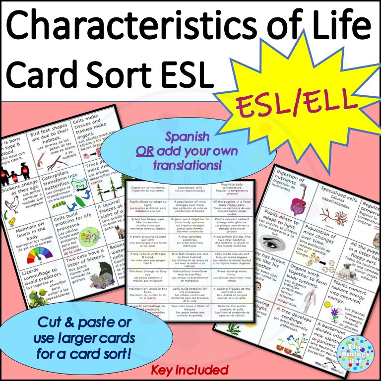Characteristics of Life Card Sort Biology – Bilingual Marketplace