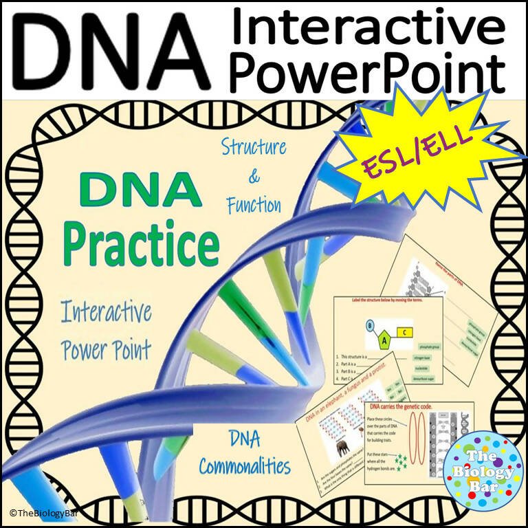 Biology DNA Interactive PowerPoint – Bilingual Marketplace