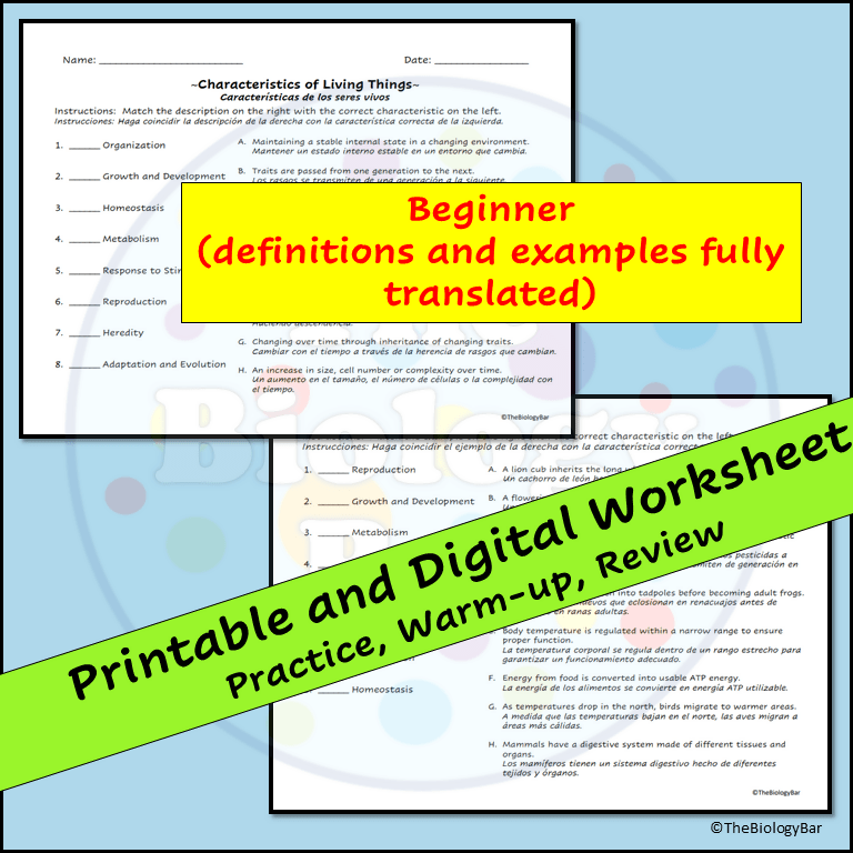 Characteristics of Life Matching Worksheet Differentiated Biology ...