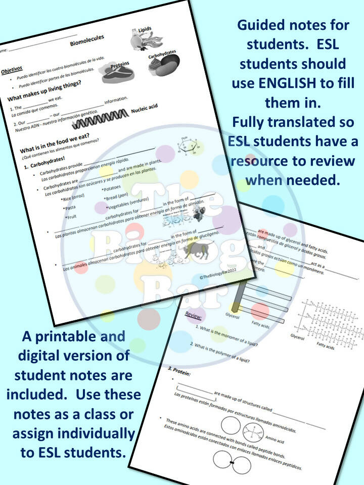 Biology Biomolecules PowerPoint Notes and Student Notes – Bilingual ...