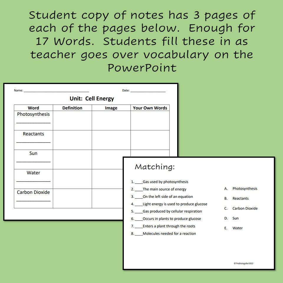 Biology Cell Energy Vocabulary Notes – Bilingual Marketplace