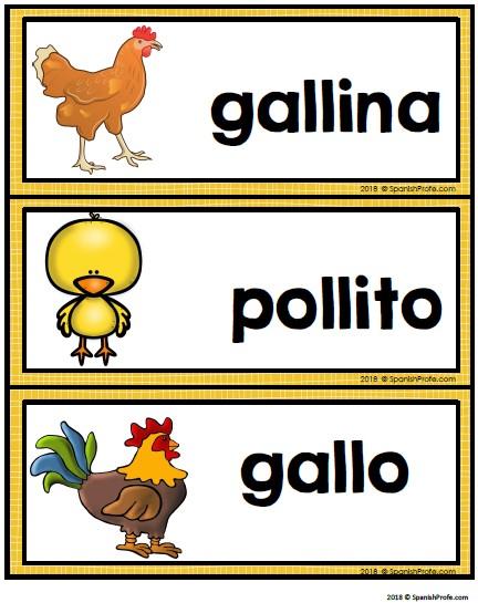 Chicken Life Cycle in Spanish (Las gallinas, gallos y pollitos ...