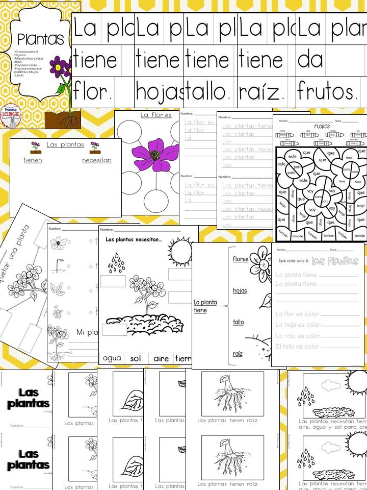 Plantas – Bilingual Marketplace