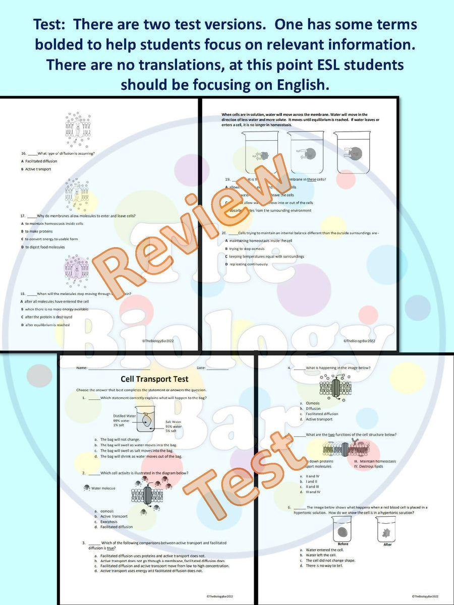 Biology Cell Transport Review and Test – Bilingual Marketplace