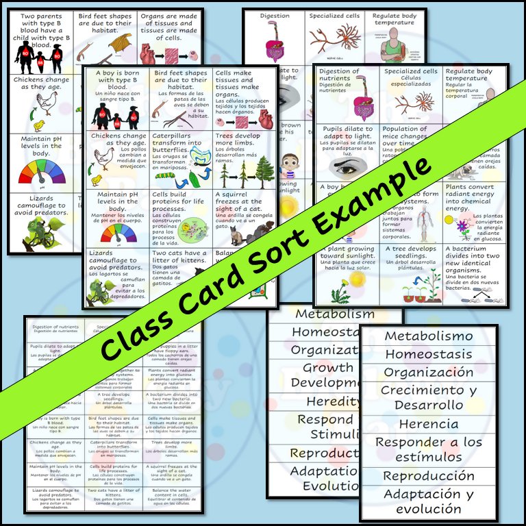 Characteristics of Life Card Sort Biology – Bilingual Marketplace