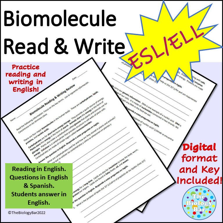 Biology Biomolecule Reading & Writing Review – Bilingual Marketplace