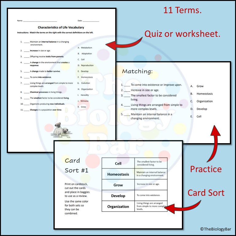 Characteristics of Life Vocabulary Notes Biology – Bilingual Marketplace