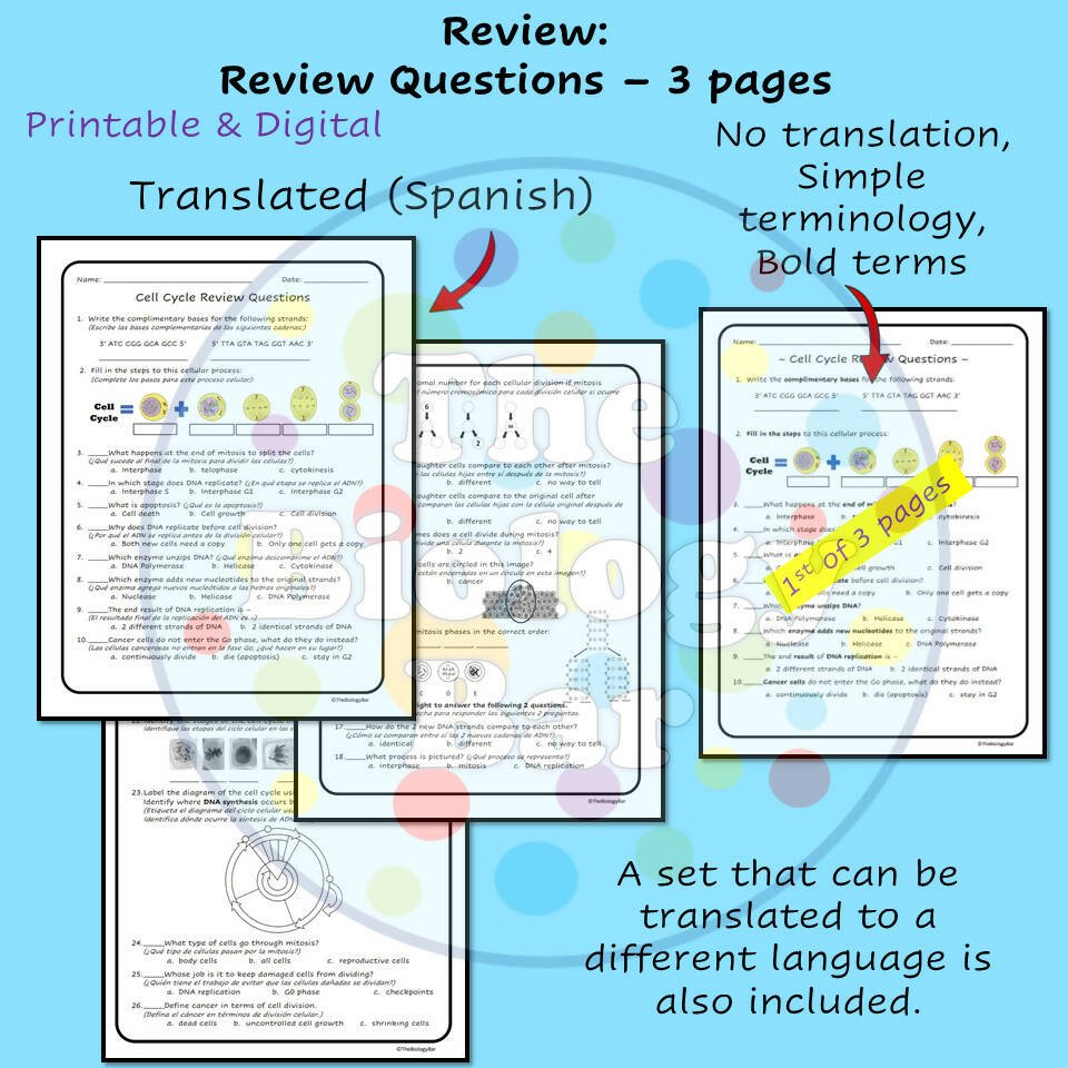 Biology Cell Cycle Mitosis Review & Test – Bilingual Marketplace