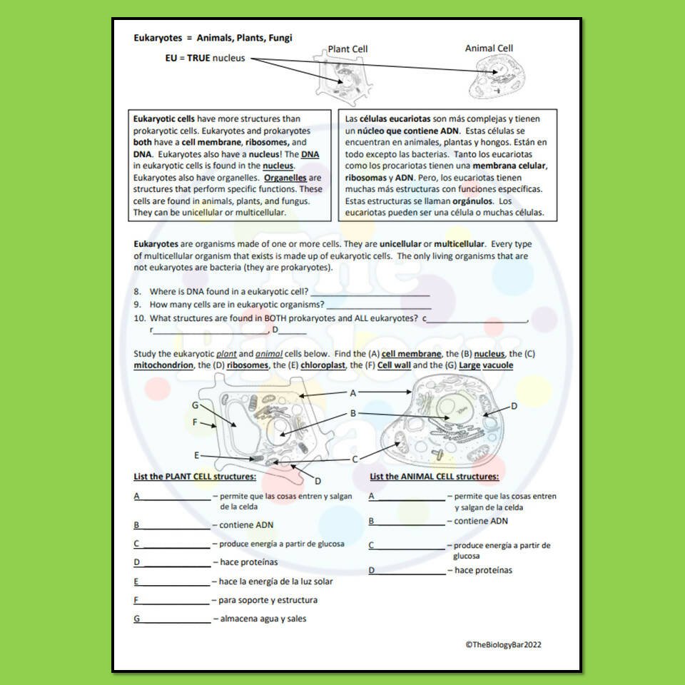 Biology Cell Structure & Function Reading and Writing – Bilingual ...