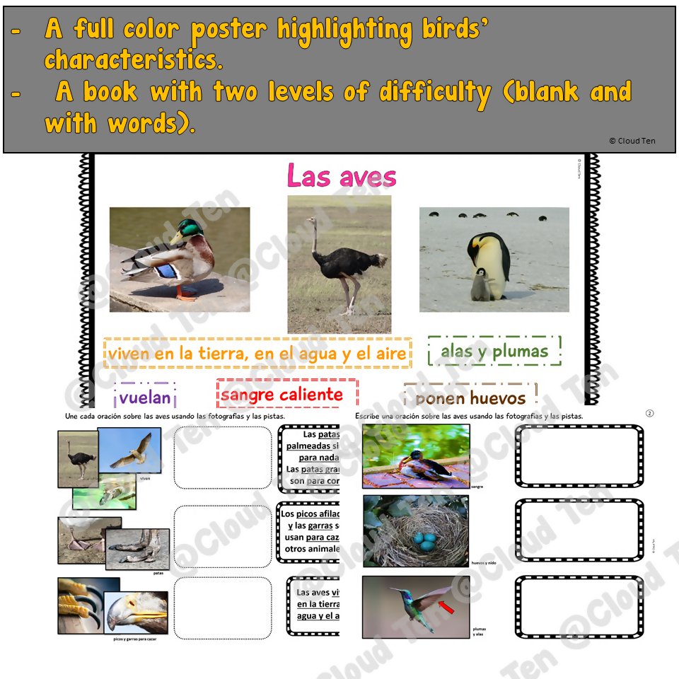 Las aves in Google Slides™ – Bilingual Marketplace