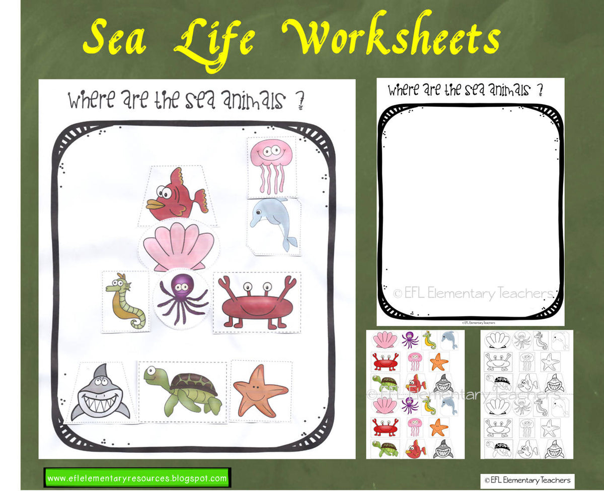Sea, Ocean or Underwater Animals for Elementary ESL – Bilingual Marketplace