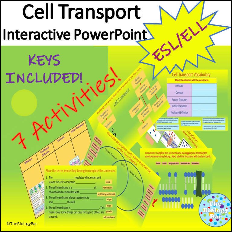 Biology Cell Transport Interactive PowerPoint – Bilingual Marketplace