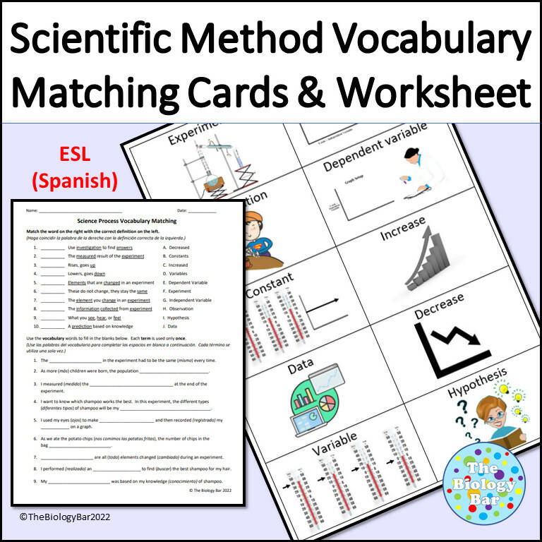 Scientific Method Vocabulary Cards and Worksheet – Bilingual Marketplace