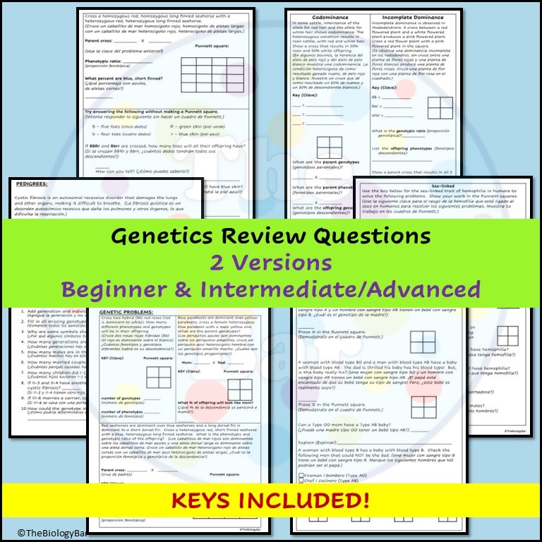 Genetics Review and Test – Bilingual Marketplace