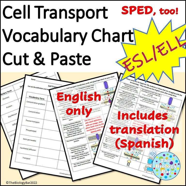 Biology Cell Transport Vocabulary Card Sort – Bilingual Marketplace