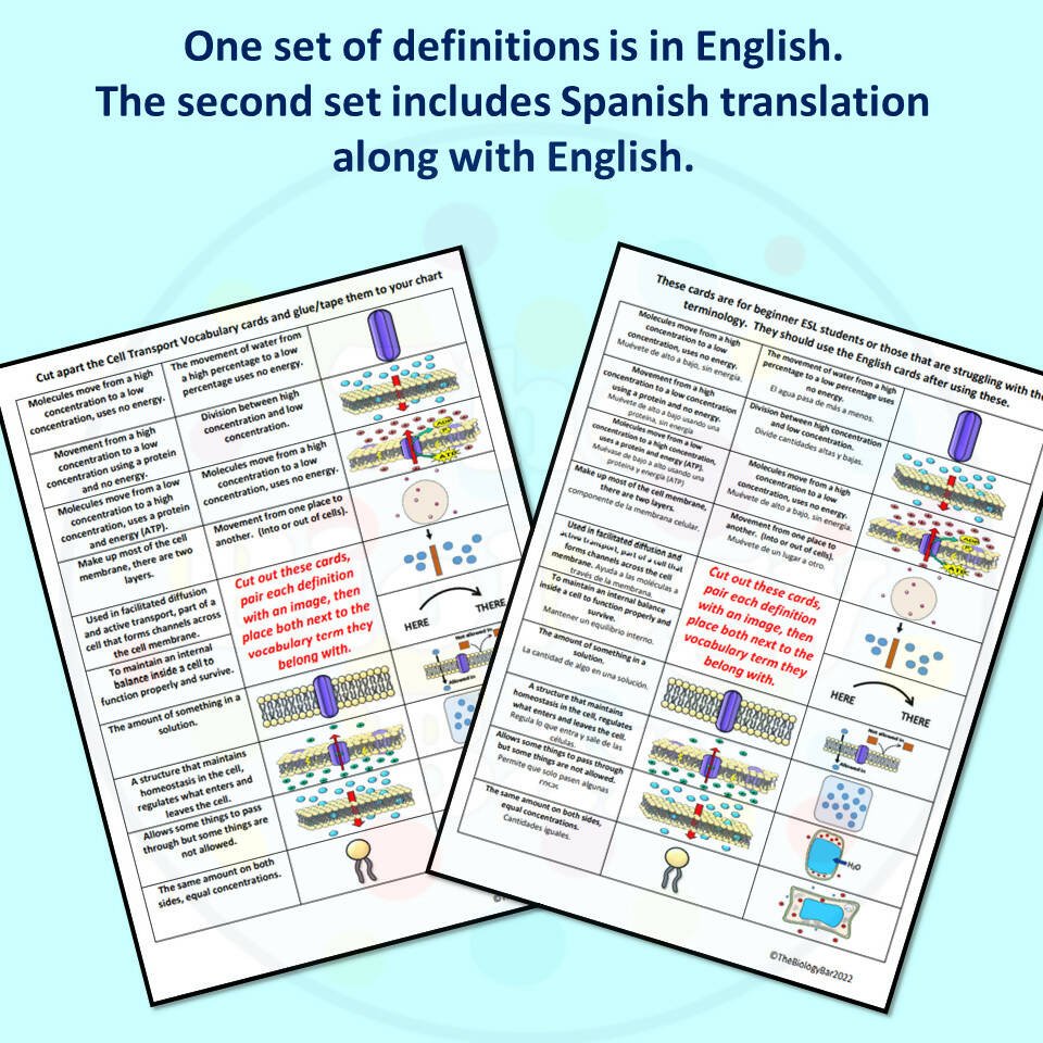 Biology Cell Transport Vocabulary Card Sort – Bilingual Marketplace