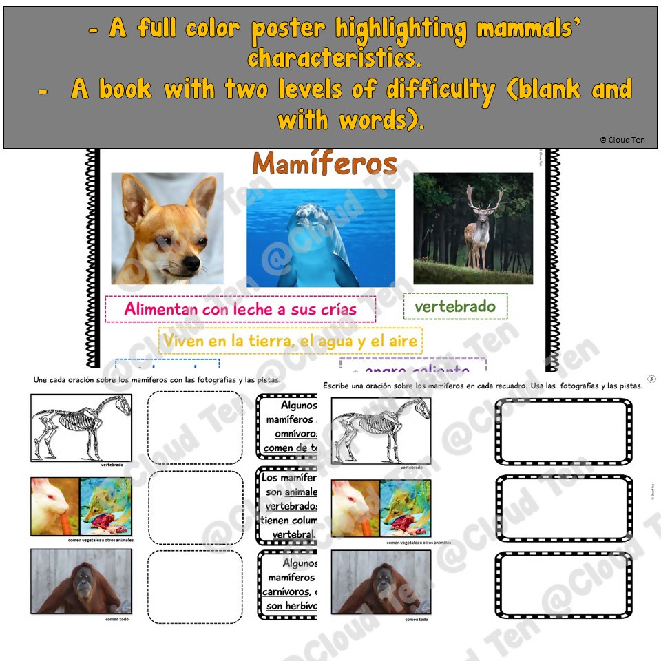 Los mamiferos in Google Slides™ – Bilingual Marketplace