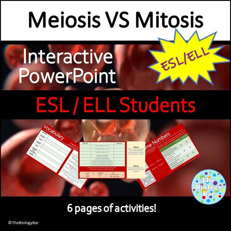 Biology Meiosis VS Mitosis Interactive PowerPoint – Bilingual Marketplace