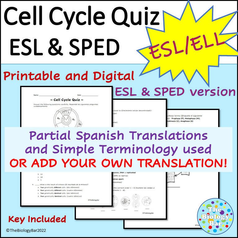 Biology Cell Cycle Mitosis Quiz – Bilingual Marketplace
