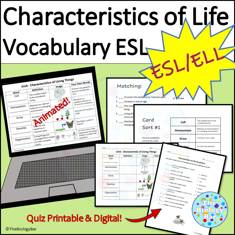 Characteristics of Life Vocabulary Notes Biology – Bilingual Marketplace