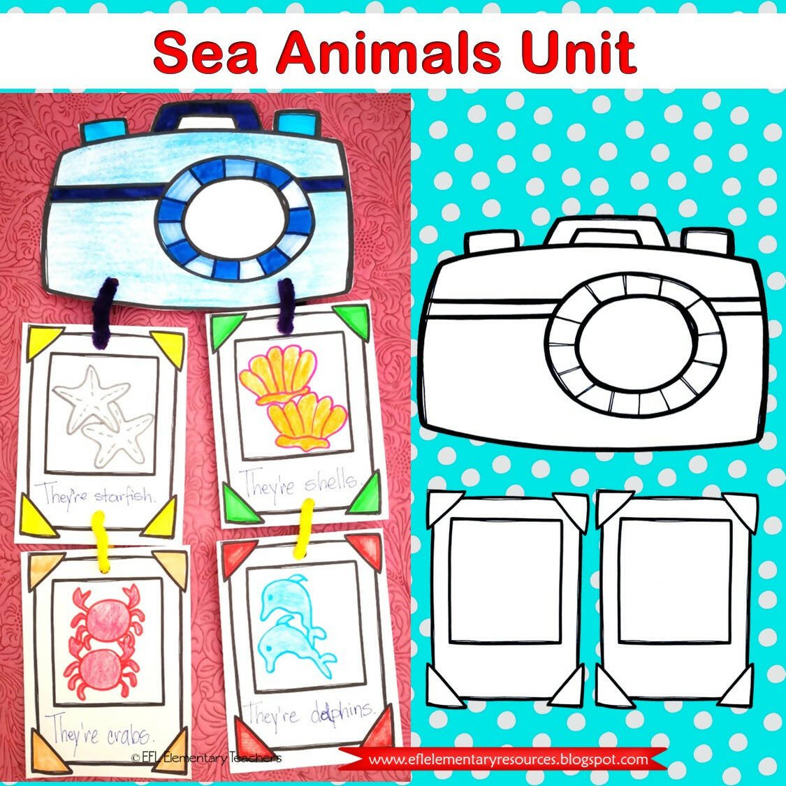 Sea, Ocean or Underwater Animals for Elementary ESL – Bilingual Marketplace