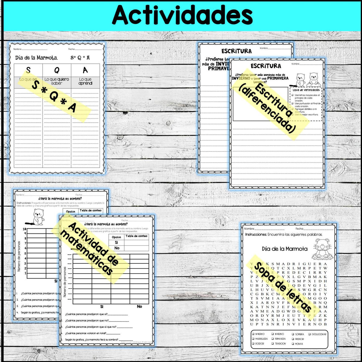 Groundhog Day in Spanish - Día de la marmota - Math - Google Classroom ...