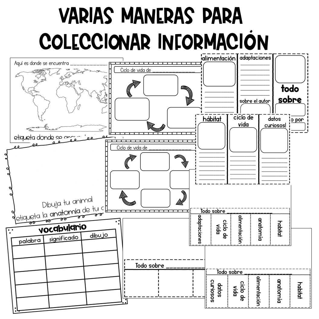 Investigacion de Animales- Imprimible y para aprendizaje virtual ...