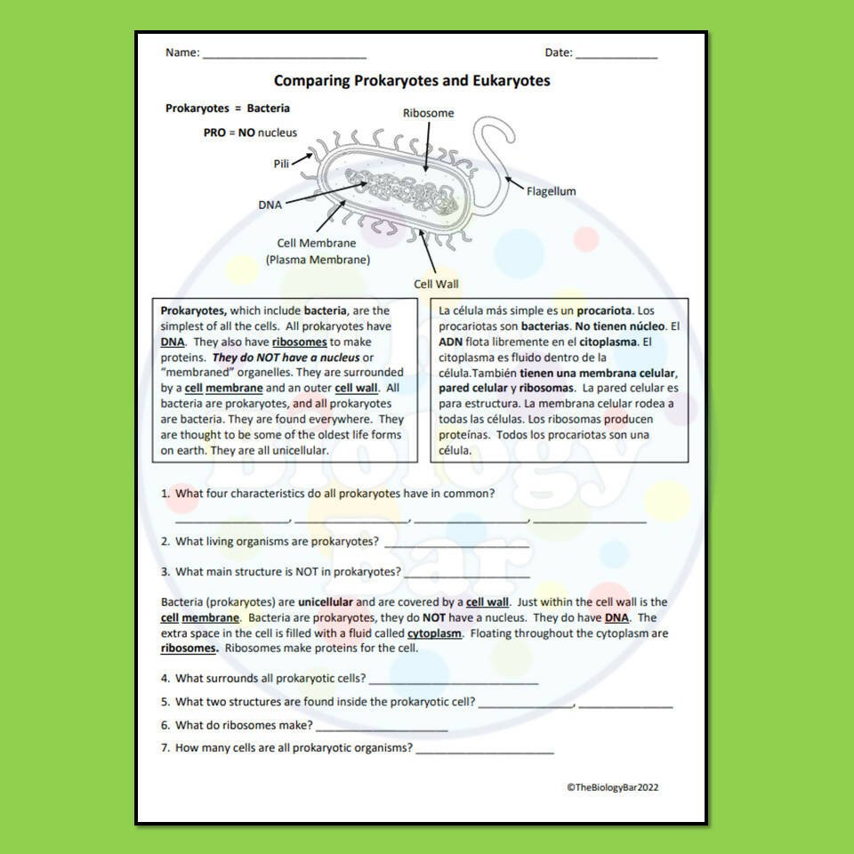 Biology Cell Structure & Function Reading and Writing – Bilingual ...