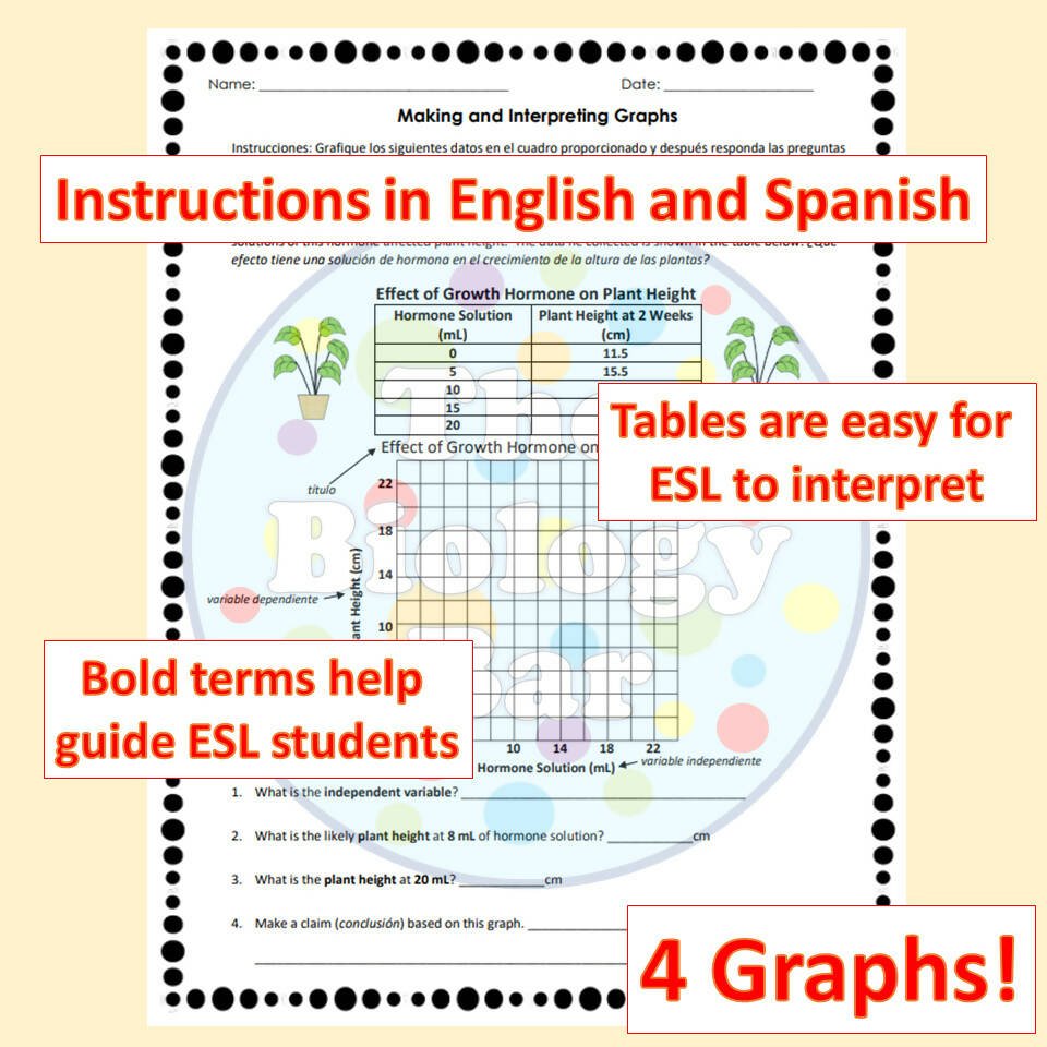 Graphing Practice Worksheet – Bilingual Marketplace