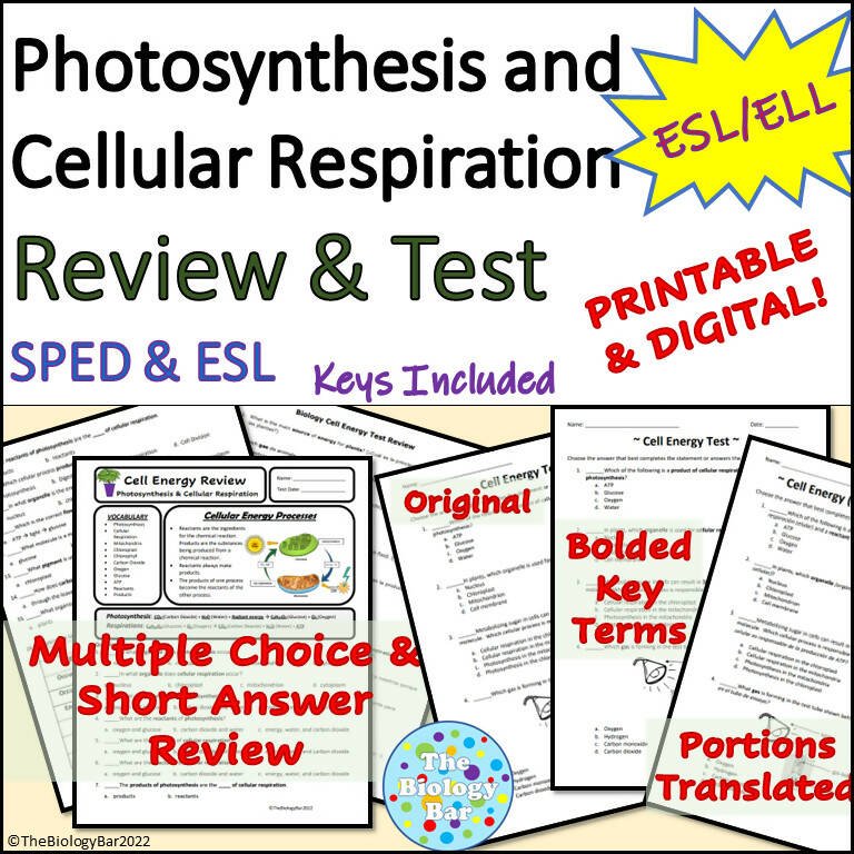 Biology Cell Energy Review and Test – Bilingual Marketplace