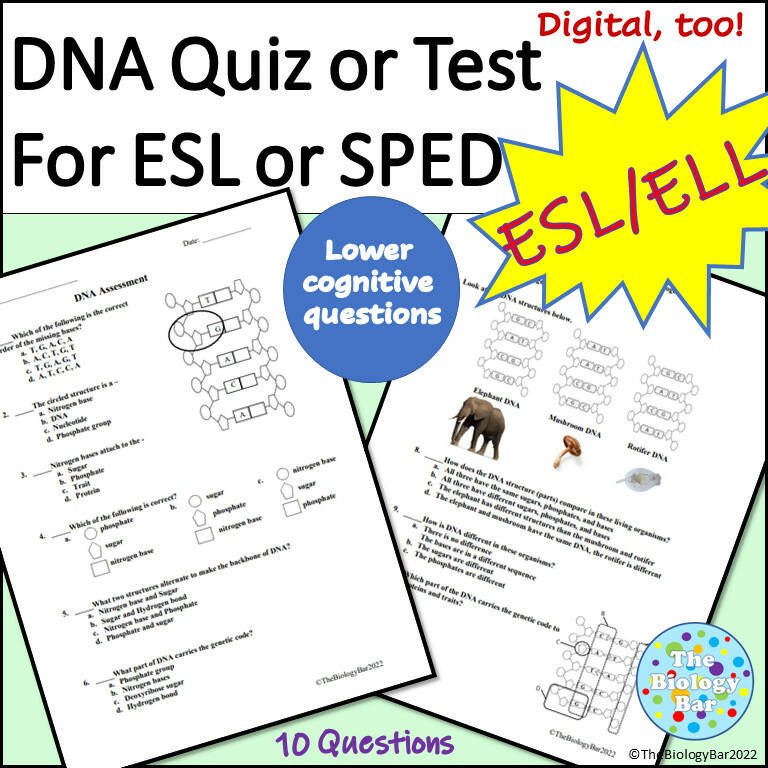 Biology DNA Quiz or Test – Bilingual Marketplace