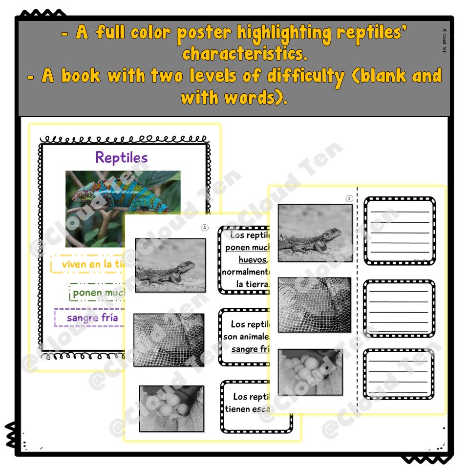 Los reptiles – Bilingual Marketplace