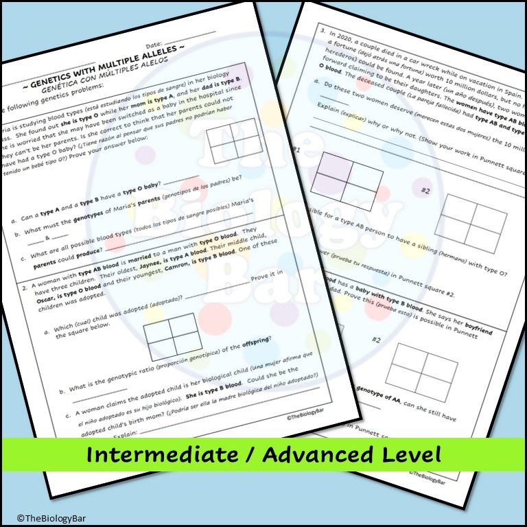 Genetics Multiple Alleles Punnett Square Problems – Bilingual Marketplace