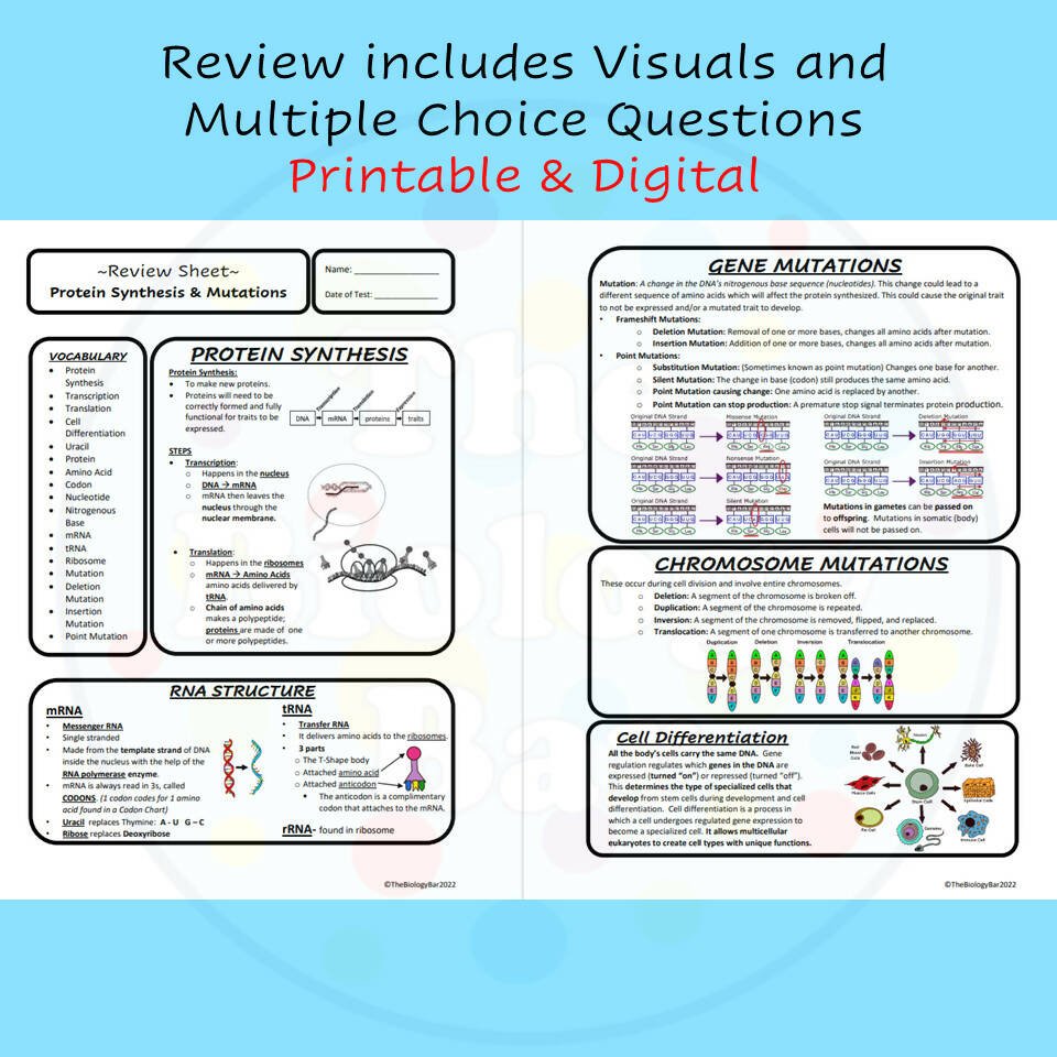 Biology Protein Synthesis and Mutations Review and Test – Bilingual ...
