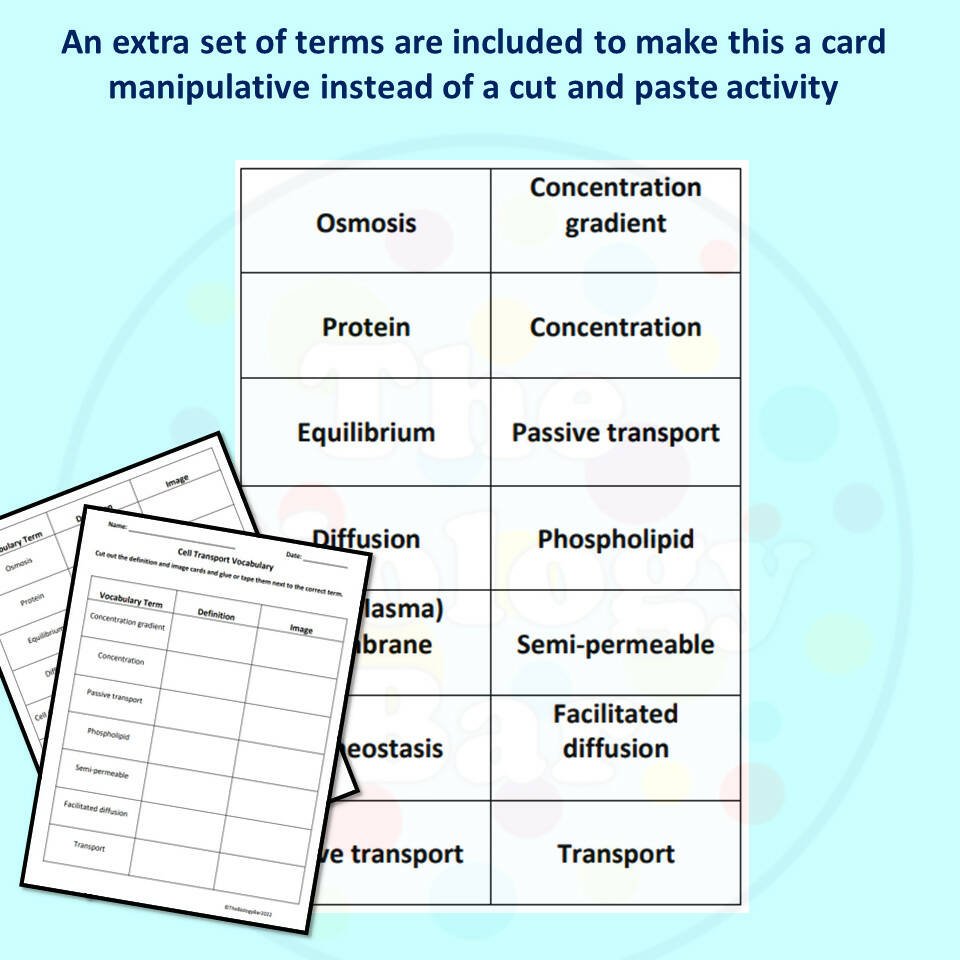 Biology Cell Transport Vocabulary Card Sort – Bilingual Marketplace