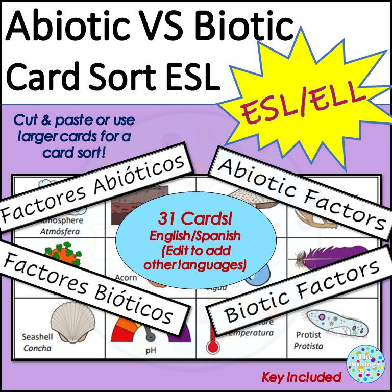 Abiotic Biotic Card Sort Biology – Bilingual Marketplace