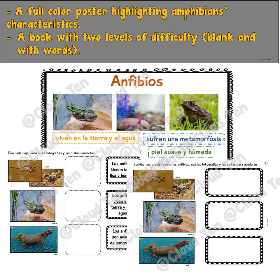 Los anfibios in Google Slides™ – Bilingual Marketplace