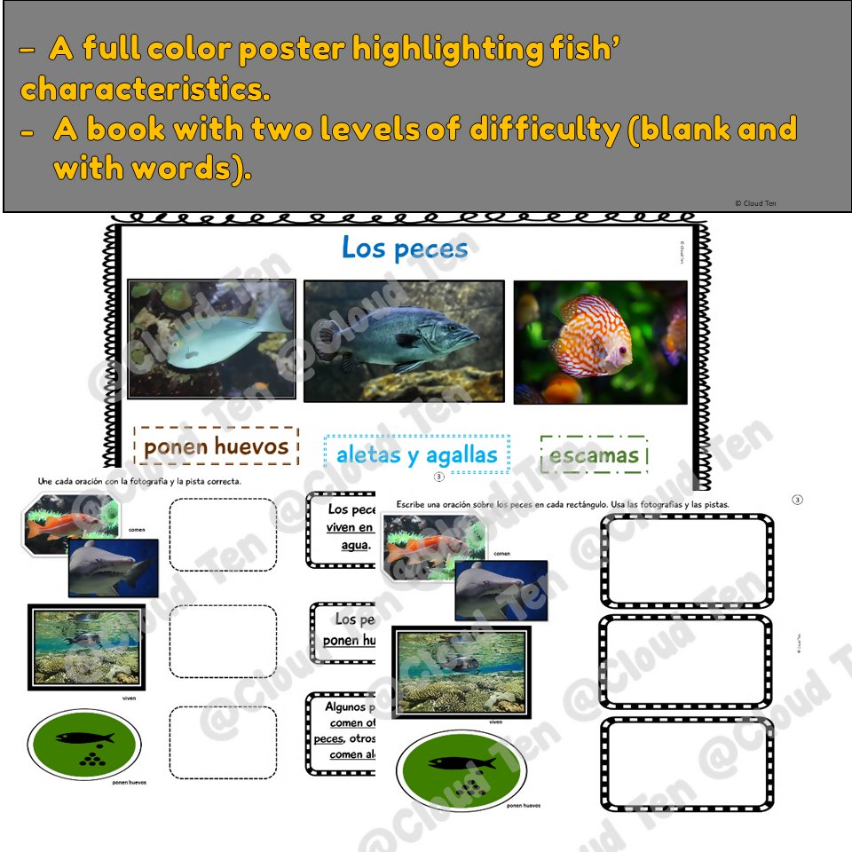 Los peces in Google Slides™ – Bilingual Marketplace