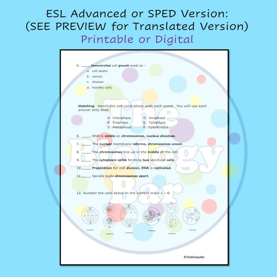 Biology Cell Cycle Mitosis Quiz – Bilingual Marketplace