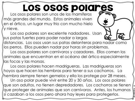 Polar Bears Non Fiction Unit Osos polares – Bilingual Marketplace