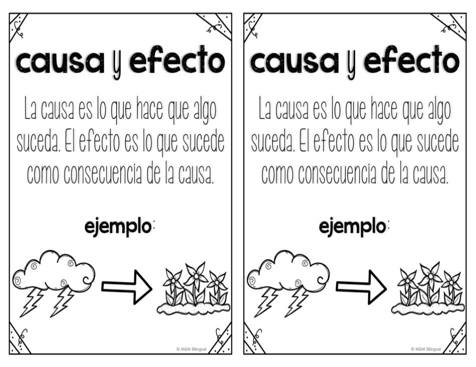 Cause & Effect {Spanish} – Bilingual Marketplace