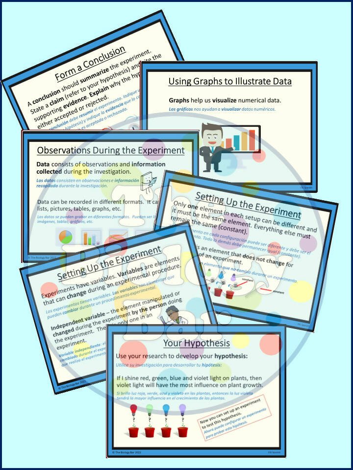 Scientific Method PowerPoint Notes and Student Guided Notes – Bilingual ...