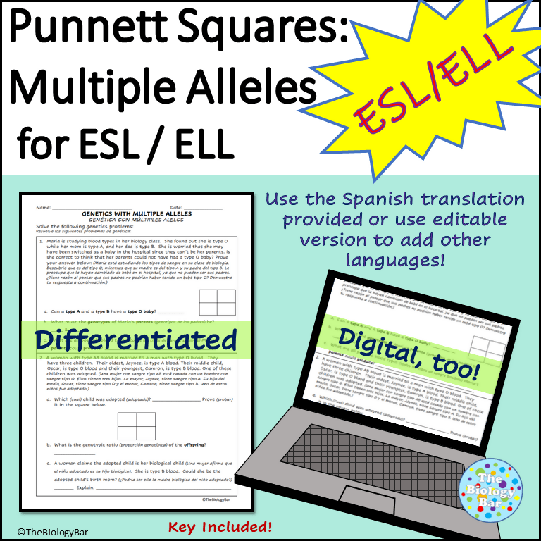 Genetics Multiple Alleles Punnett Square Problems – Bilingual Marketplace