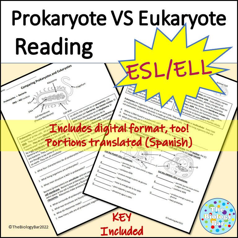 Biology Cell Structure & Function Reading and Writing – Bilingual ...