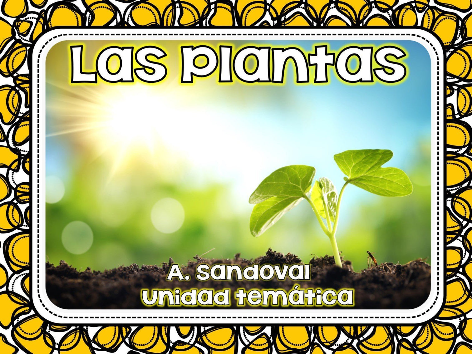 Plant Unit Plantas – Bilingual Marketplace