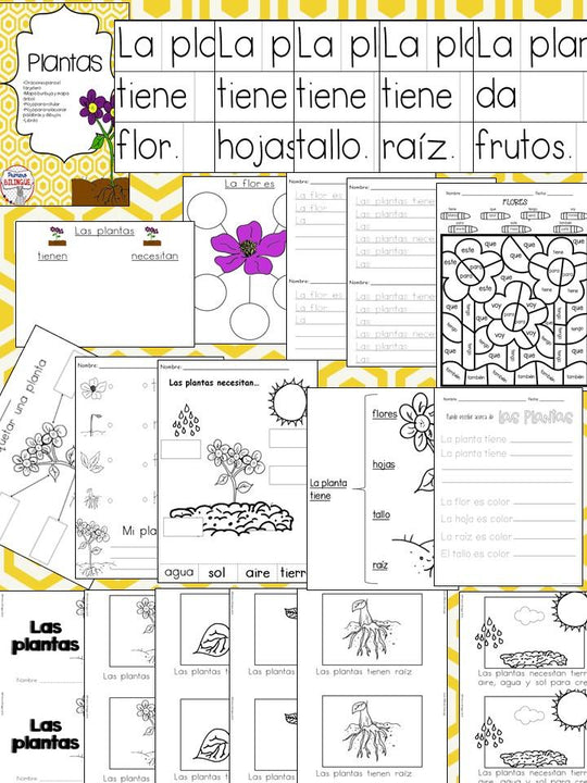 Plantas – Bilingual Marketplace