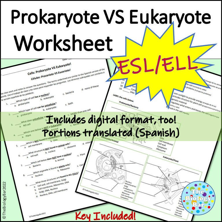 Prokaryotic And Eukaryotic Cells Worksheet