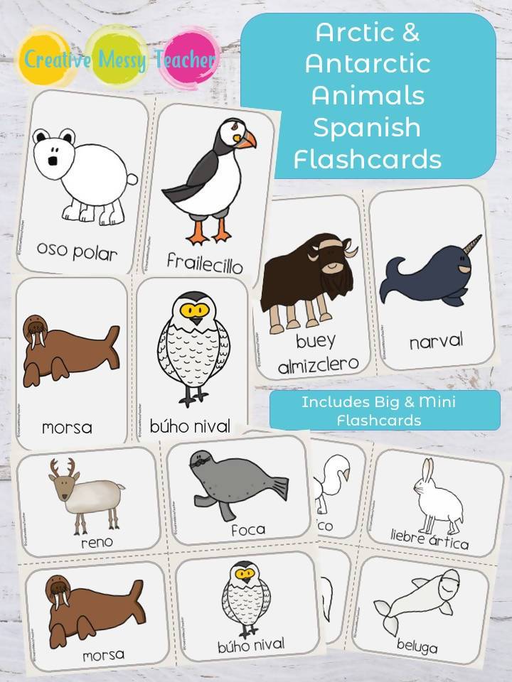 Animales del Artico Flashcards – Bilingual Marketplace