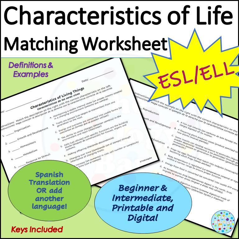 Characteristics of Life Matching Worksheet Differentiated Biology ...
