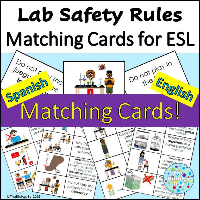 Lab Safety Rules Matching Cards – Bilingual Marketplace